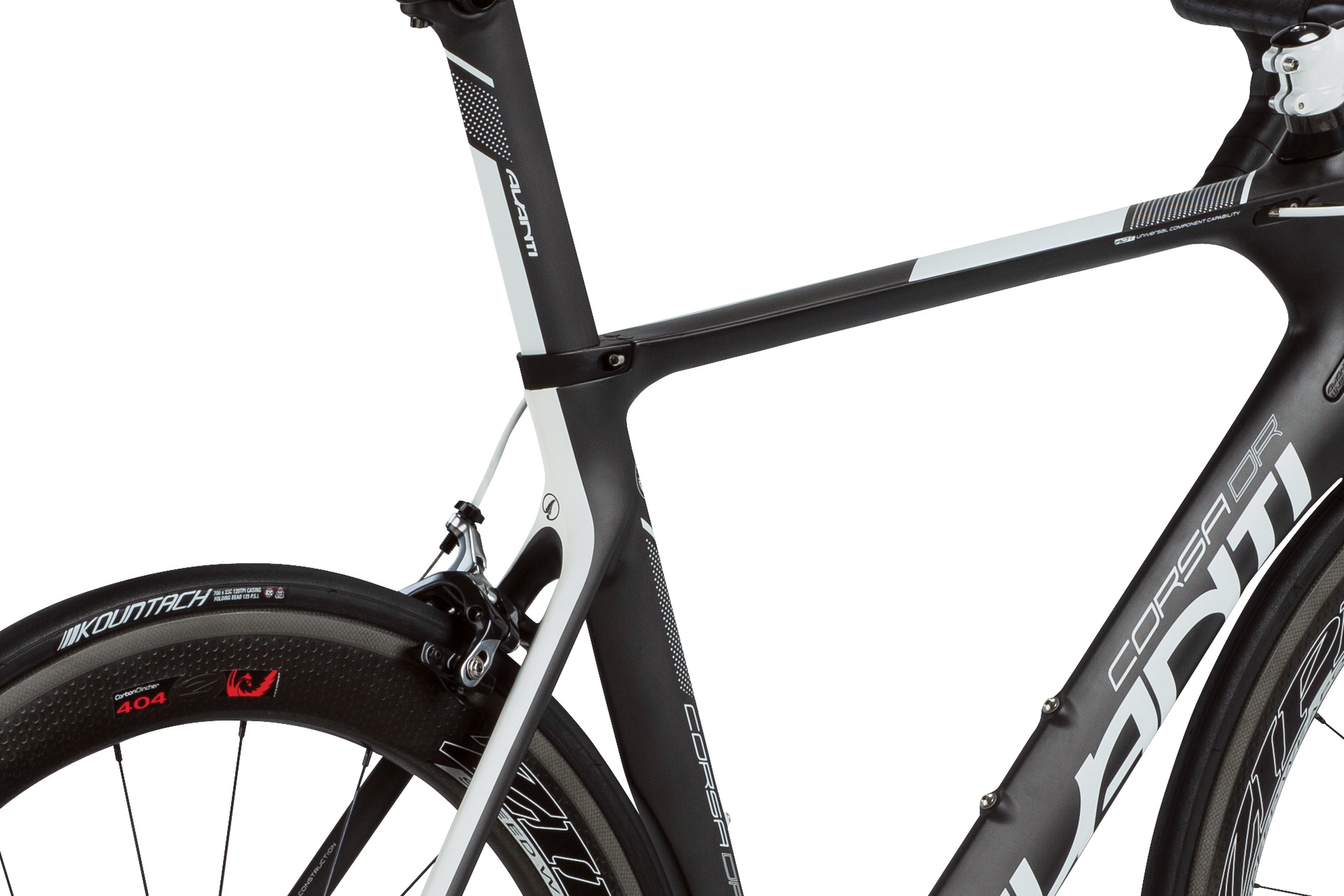 Avanti Bikes | Jamie McLellan