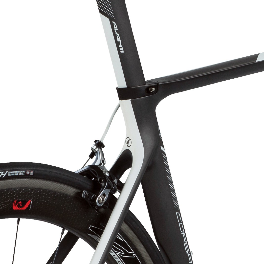 Avanti Bikes | Jamie McLellan